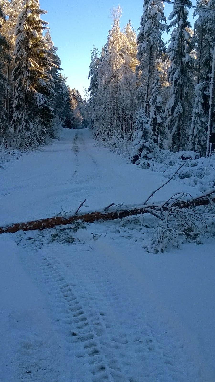 KÄTEVÄ EMÄNTÄ: 2014