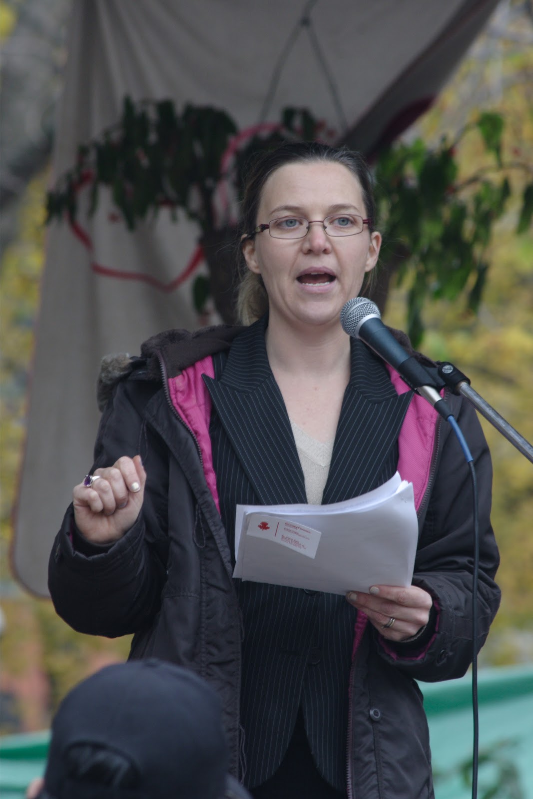 Rebuilding Our Democratic Canada: Susan's Speech to the Assembly at ...