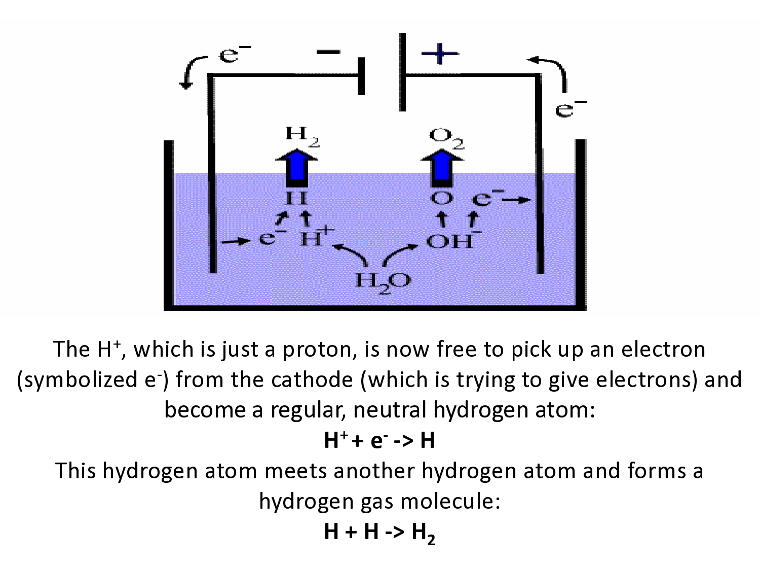 Electrolysis of Water
