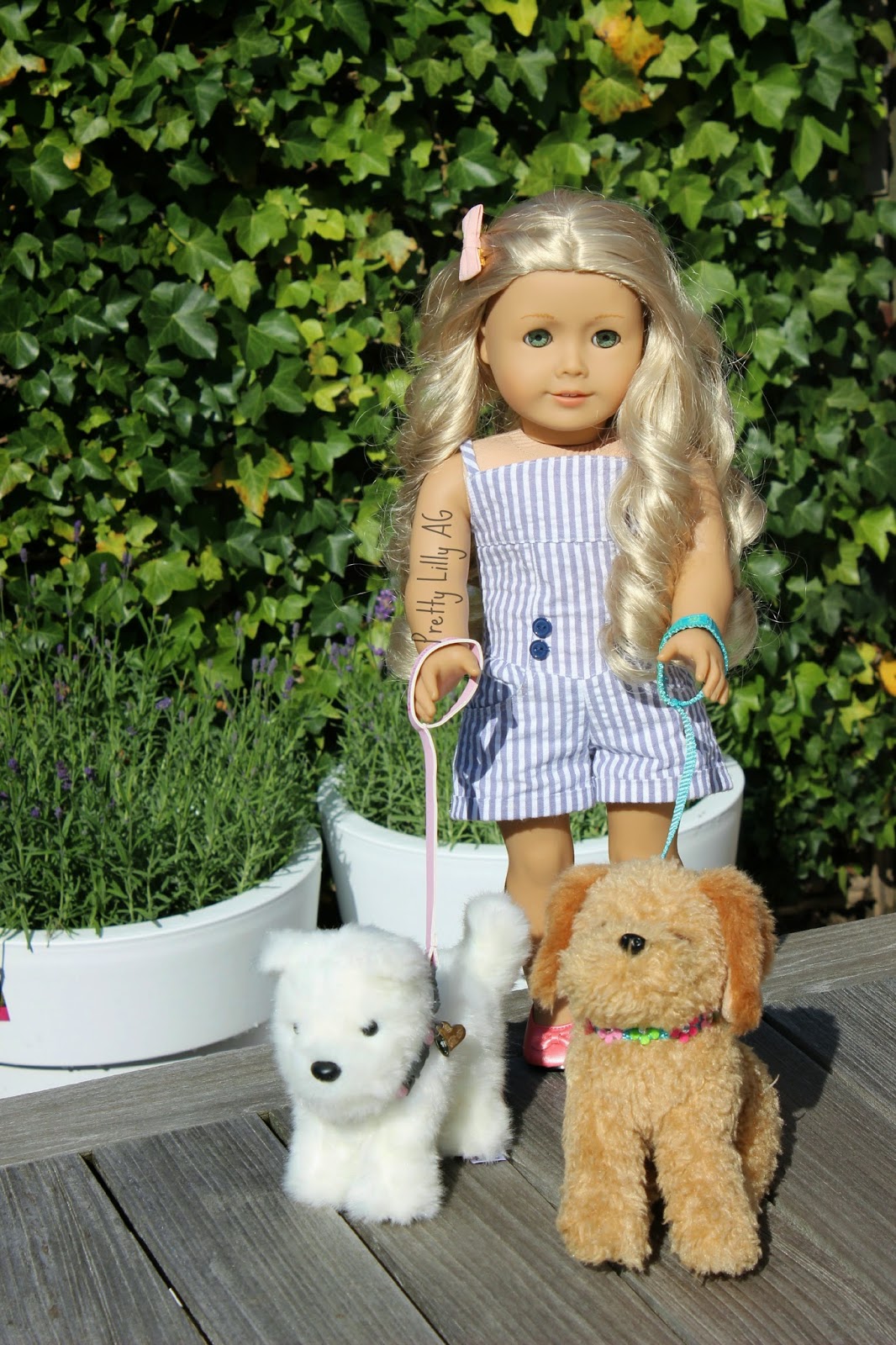 Pretty Lilly an American Girl: Leashes and collars for dogs