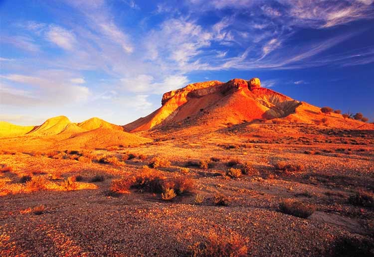 Sharing "No Barren Life"