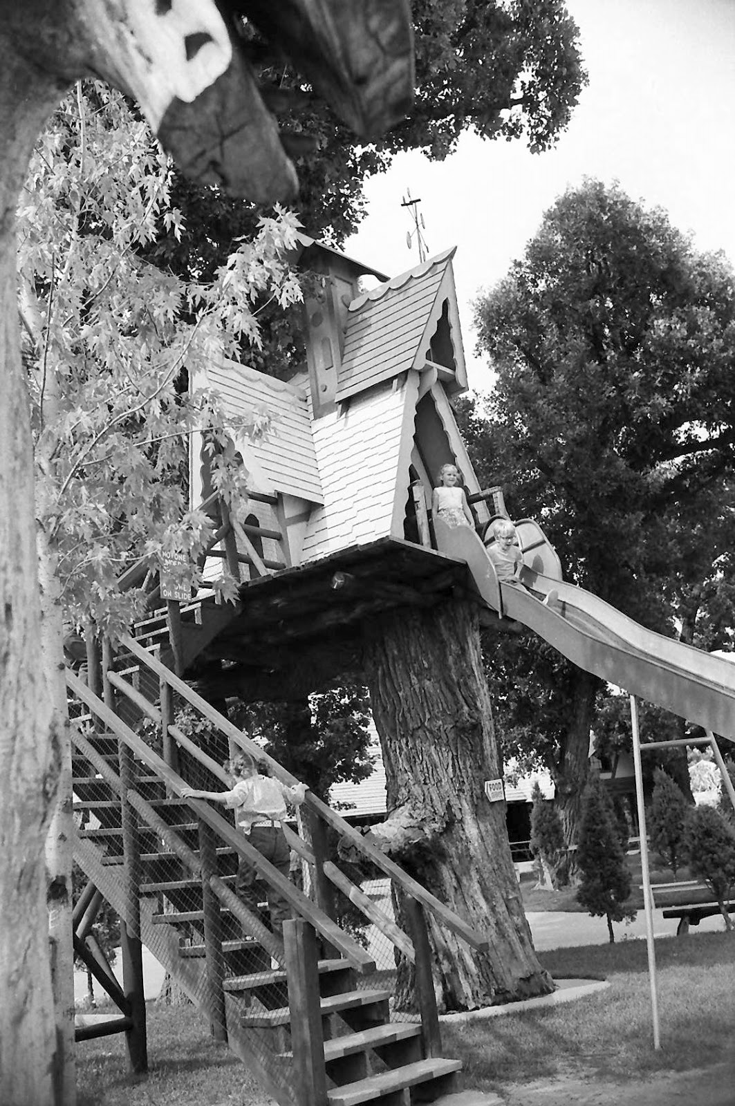 The Digital Research Library of Illinois History Journal ...