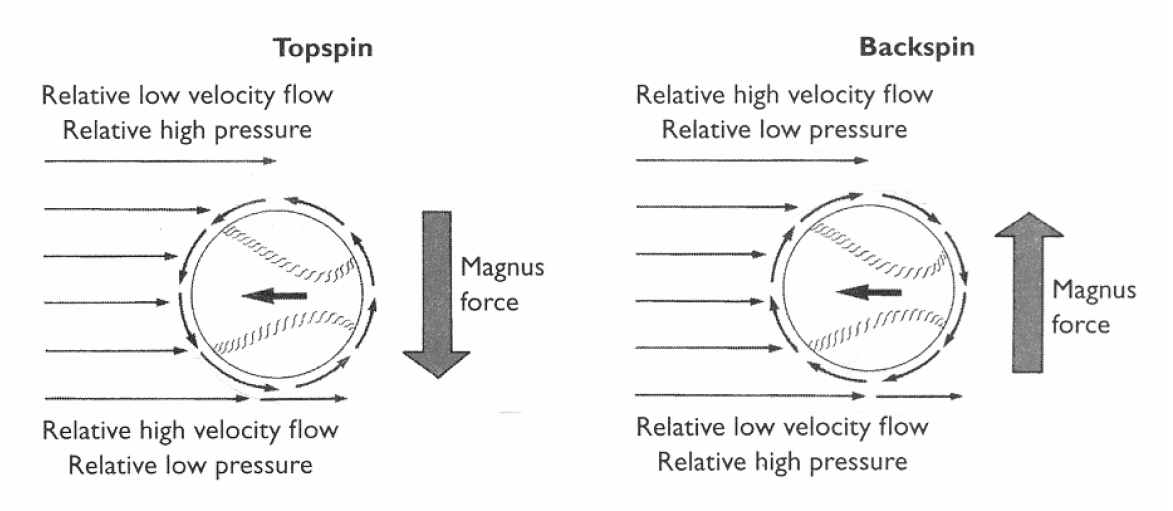 The biomechanics of a golf drive: What are the biomechanical principles ...