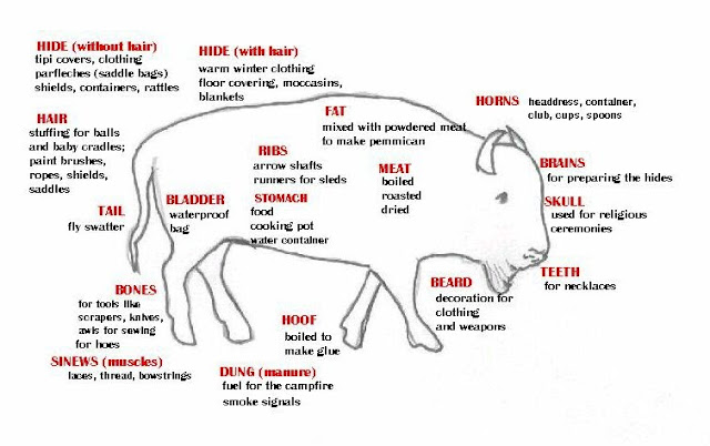 The Art of Teaching: History Class Take-Aways