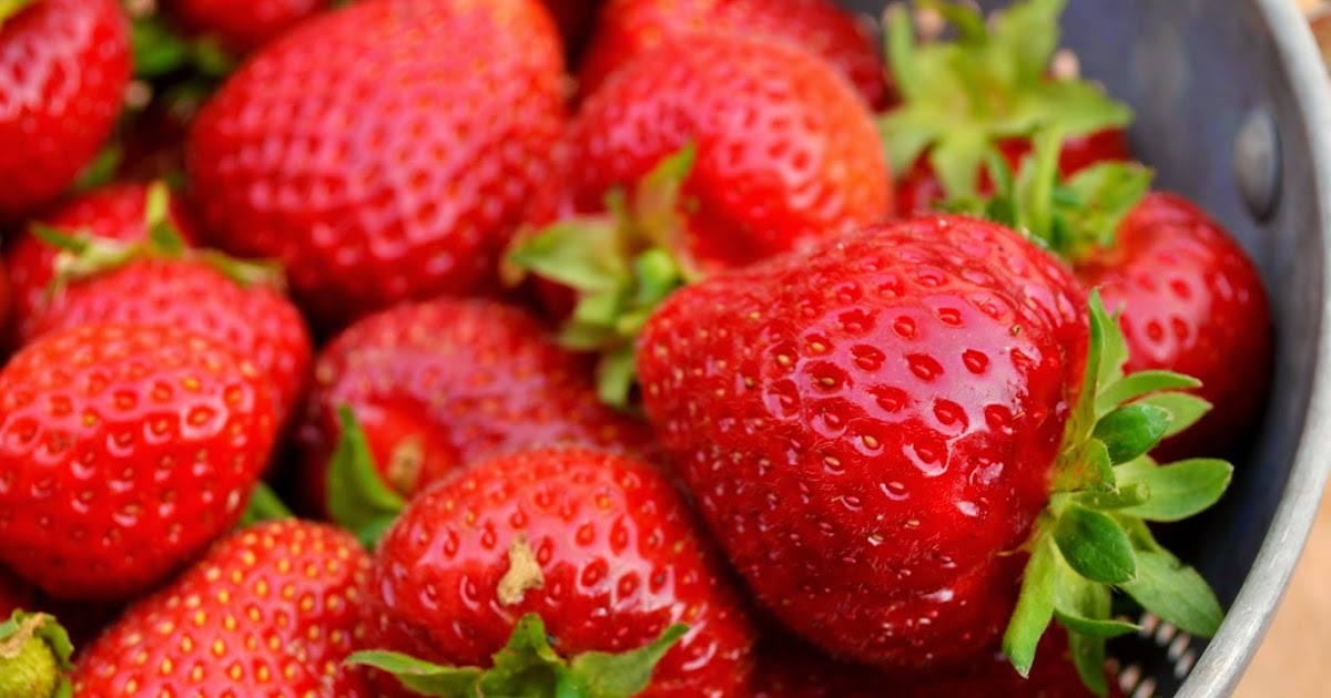 Strawberry patch snapshots