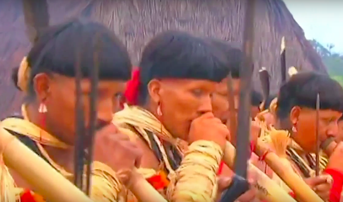 Povos Indígenas Brasileiros: Enawenê-Nawê