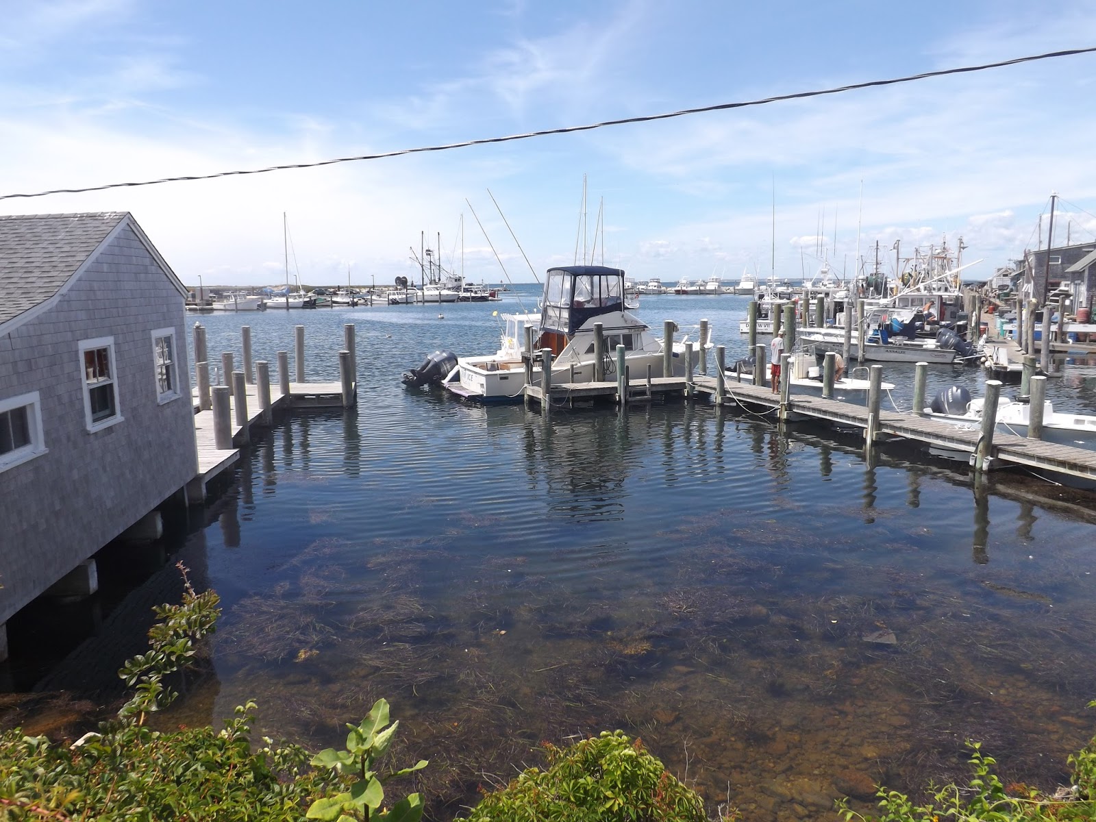 The writing never stops: My Impromptu Jaws tour