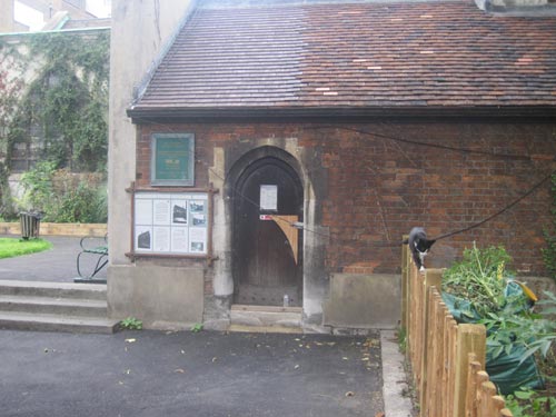 Life Is Better On Vacation: Blackwing Studios