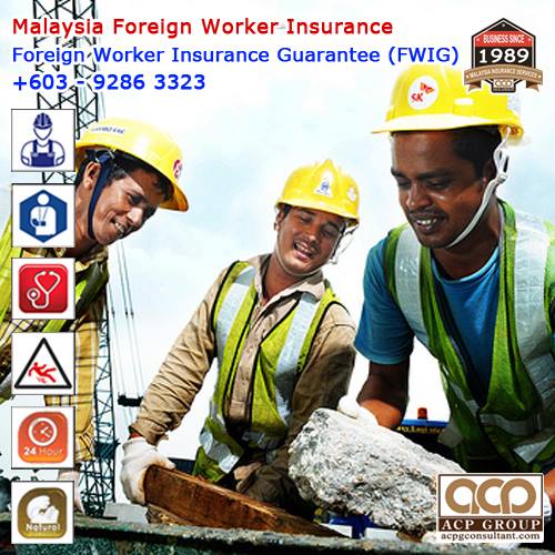 Malaysia Business Insurance : MYEG MSIG Foreign Workers Insurance ...