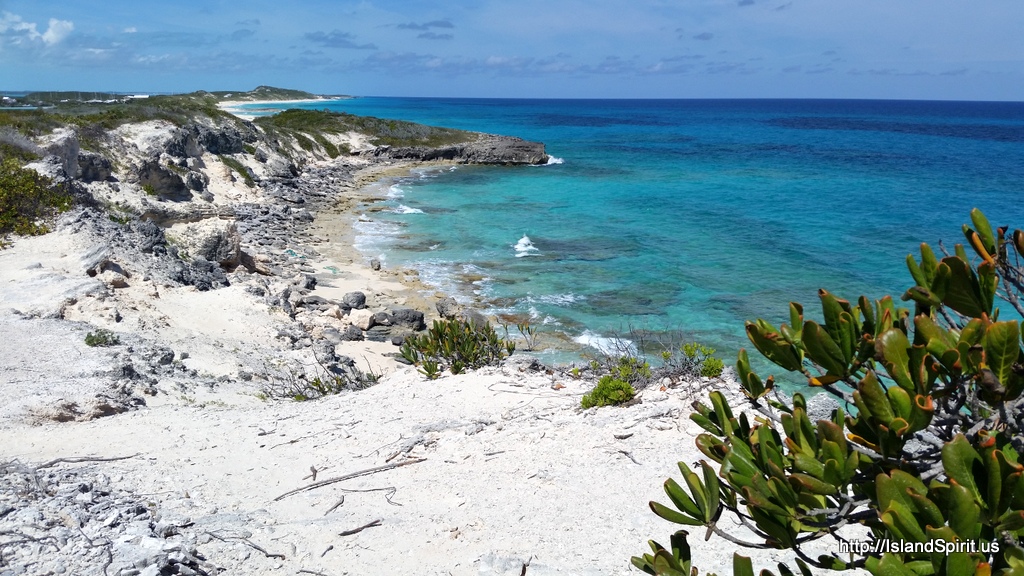 Happy Birthday Radeen - svIslandSpirit.com