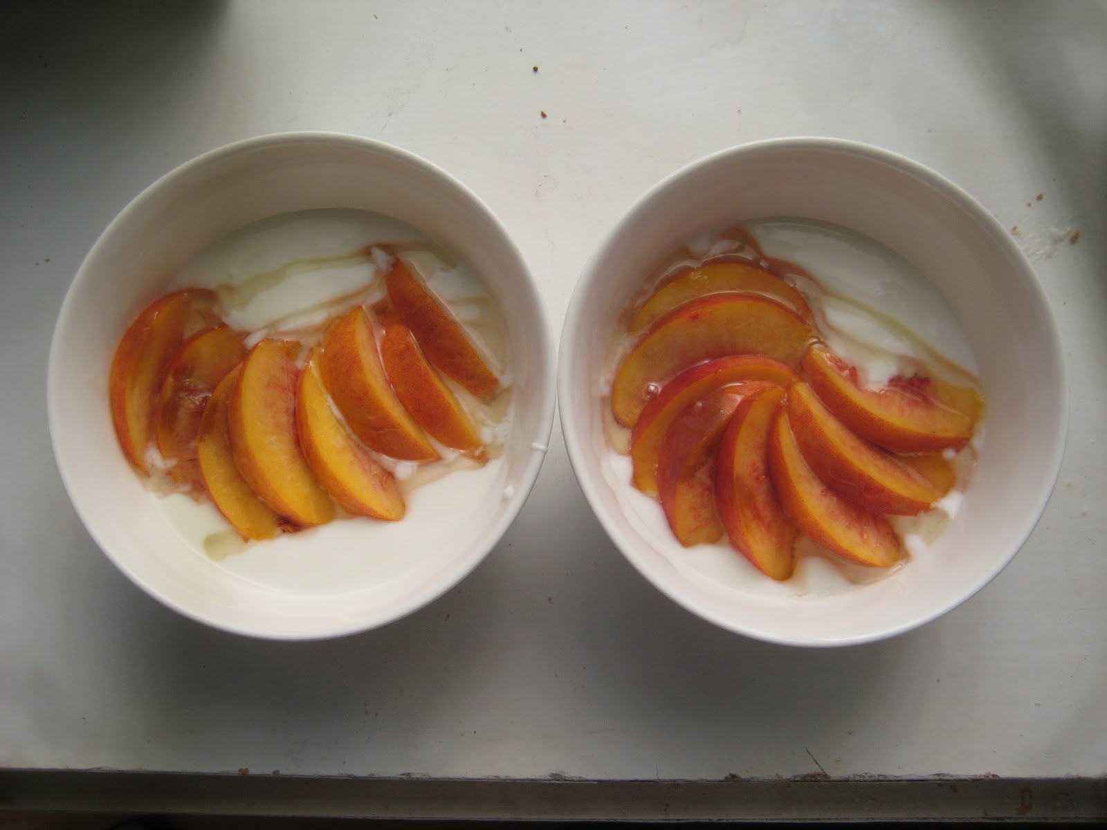Knifing Forking Spooning: Making Homemade Yogurt in a Rice Cooker