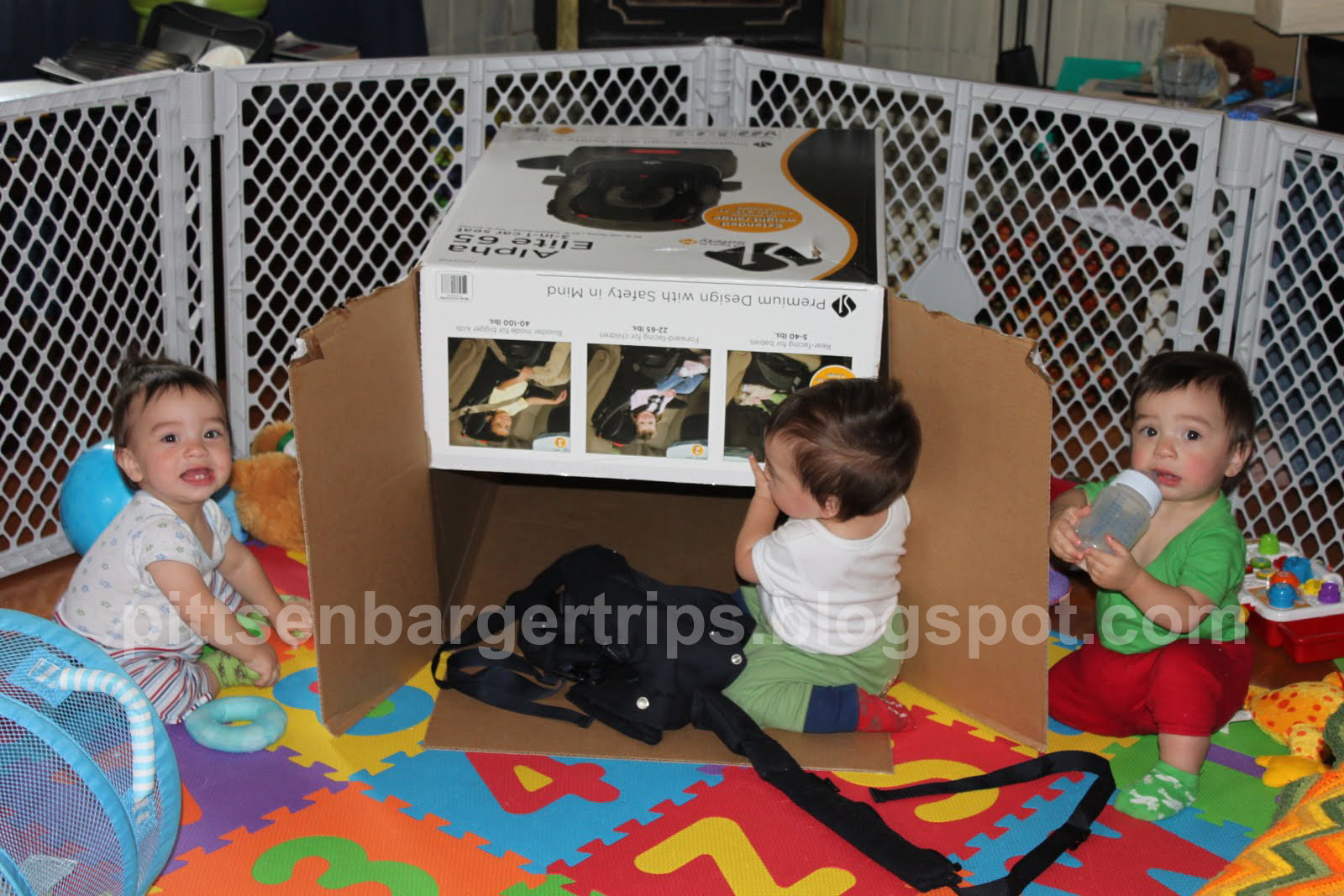 PITTS TRIP'S: the Pittsenbarger identical triplets saga: Fall of the ...