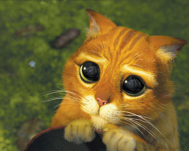 PSA: Pus vs Puss. NOT HARD! : r/popping