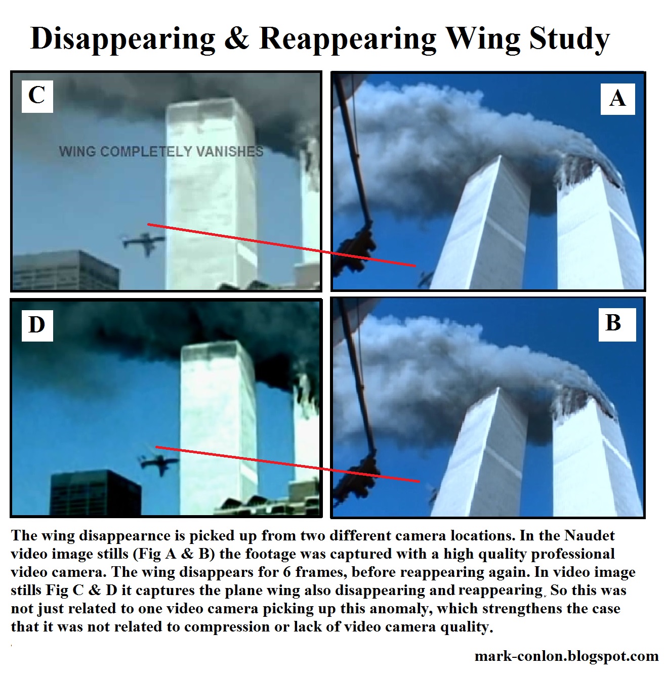 Mark Conlon Blogspot : The Disappearing and Reappearing Wing Study