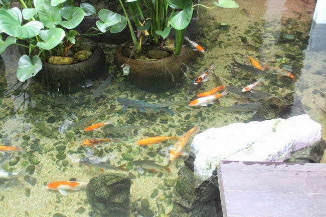 Kunjungan ke Mahligai Umpama Resort Percutian - Azie Kitchen