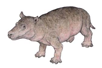 Los animales en la prehistoria: junio 2013