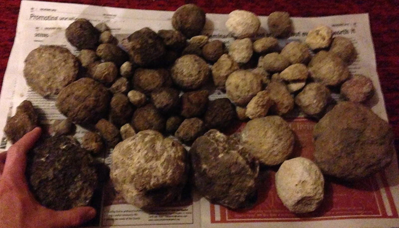 Pix of the Day and Stuff: Geode Hunting in Hamilton, IL