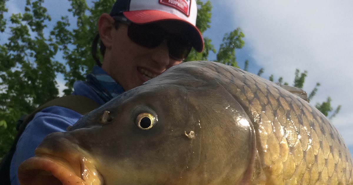 The Show Me Fly Guy: New Page- Show Me Fish