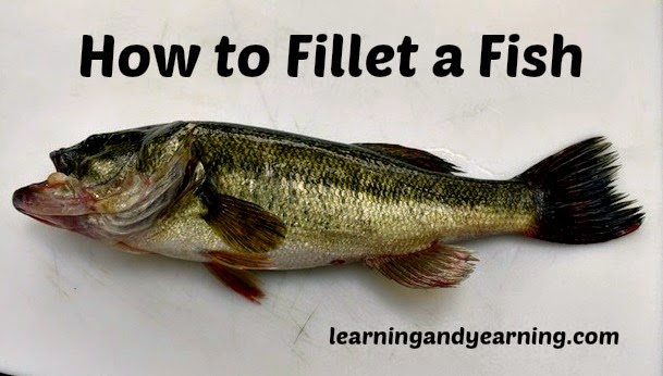 Conveying Awareness with Jessica David: Wild-caught. {A Fish Recipes ...