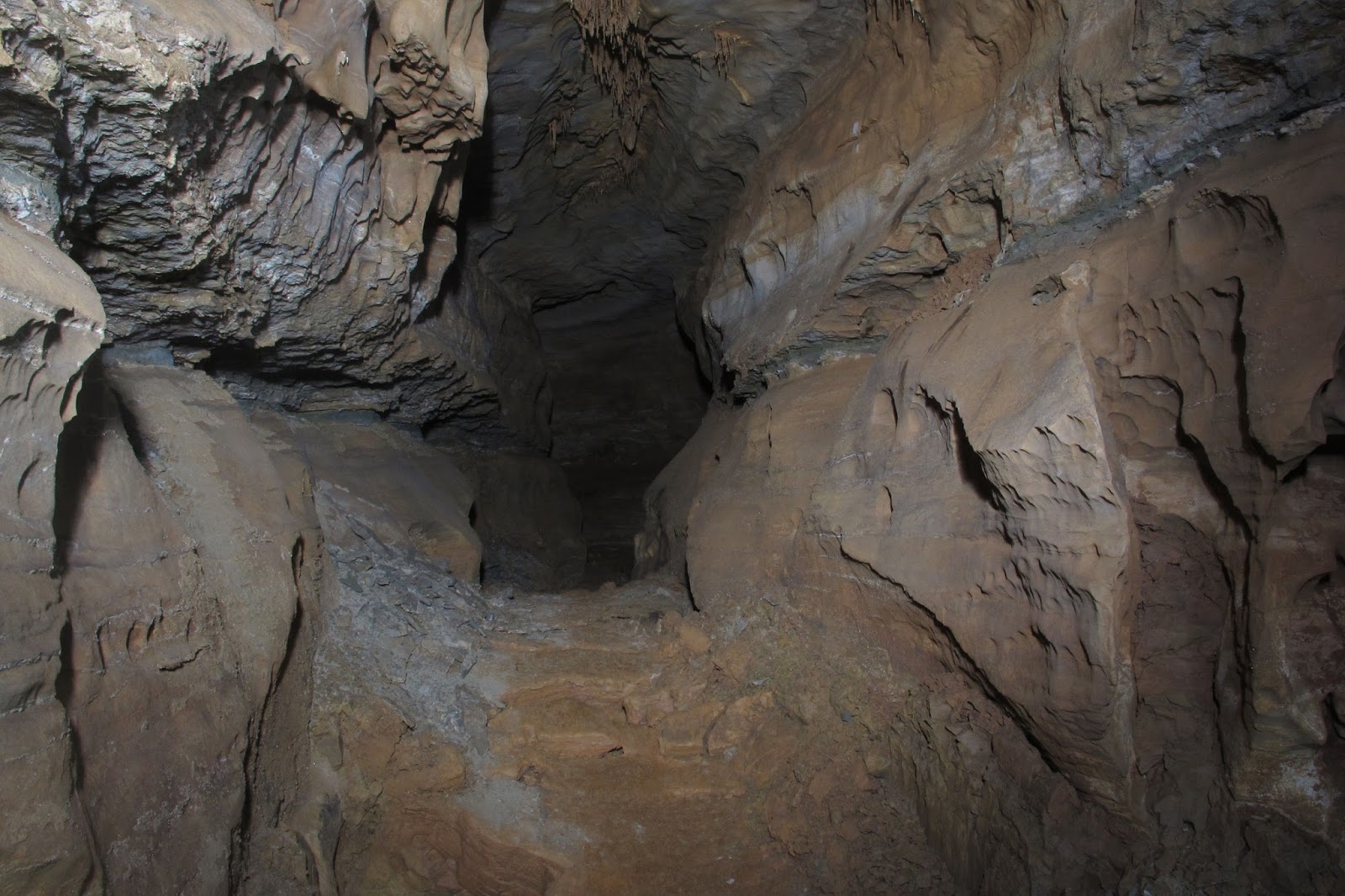 WOLF RIVER CAVE-TREMENDOUS TRUNK - ADAM HAYDOCK