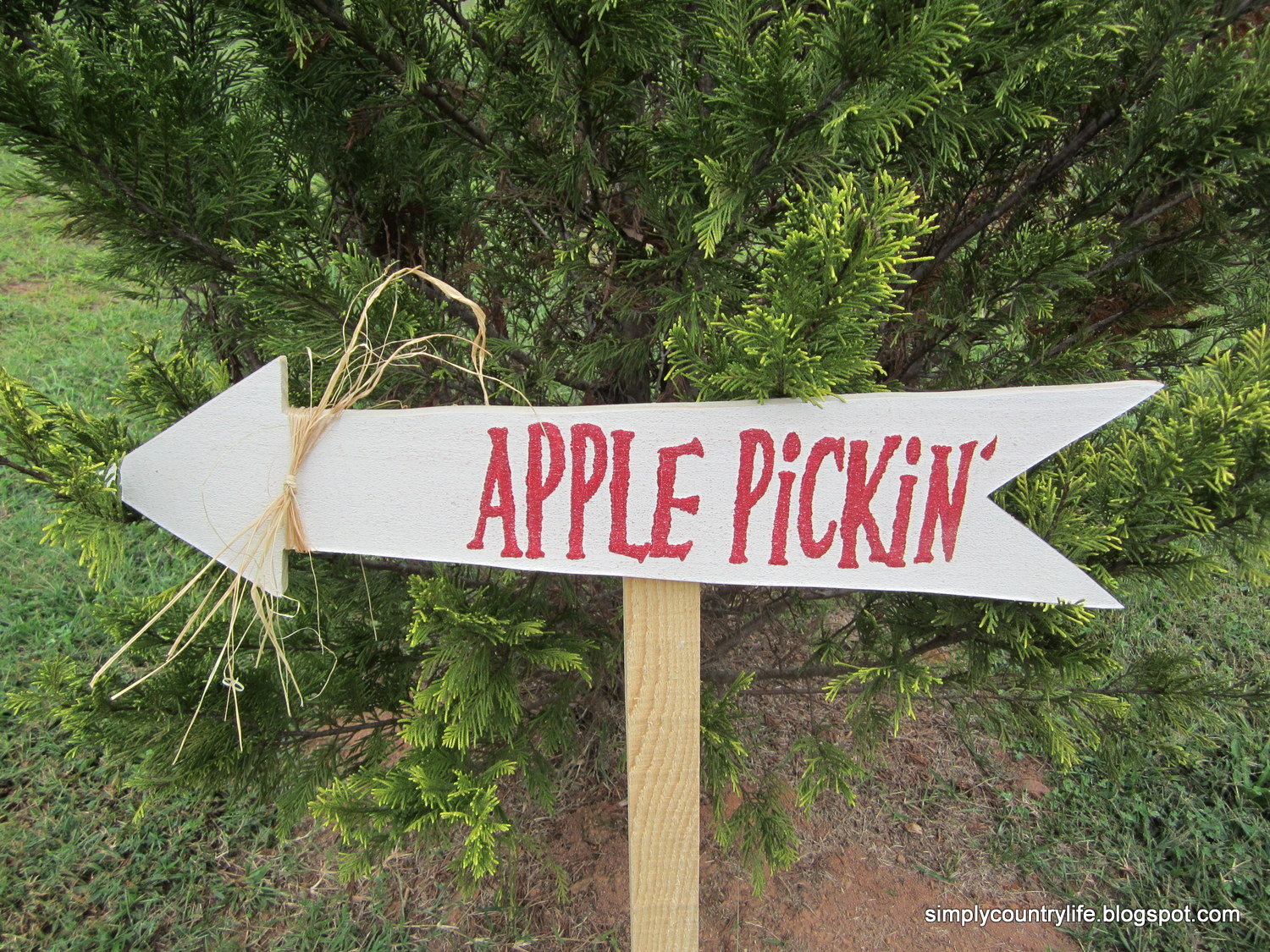 Simply Country Life: Scrap Wood turned into Fall Yard Signs