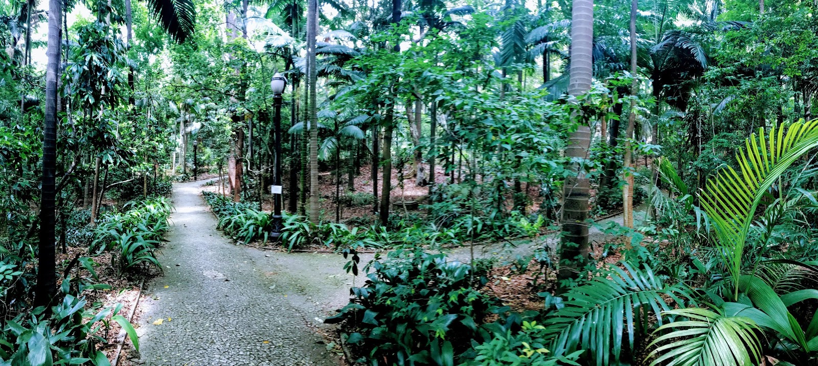 Parque Trianon ou Tenente Siqueira Campos em São Paulo ~ Áreas Verdes ...