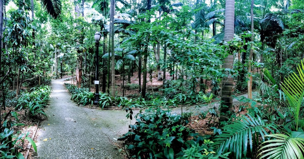 Parque Trianon ou Tenente Siqueira Campos em São Paulo ~ Áreas Verdes ...