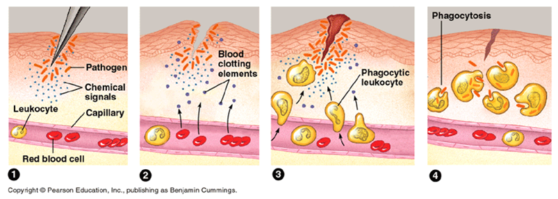 Belajar Mudah Kimia Medisinal: Gimana Obat Tiga Serangkai Antinyeri ...