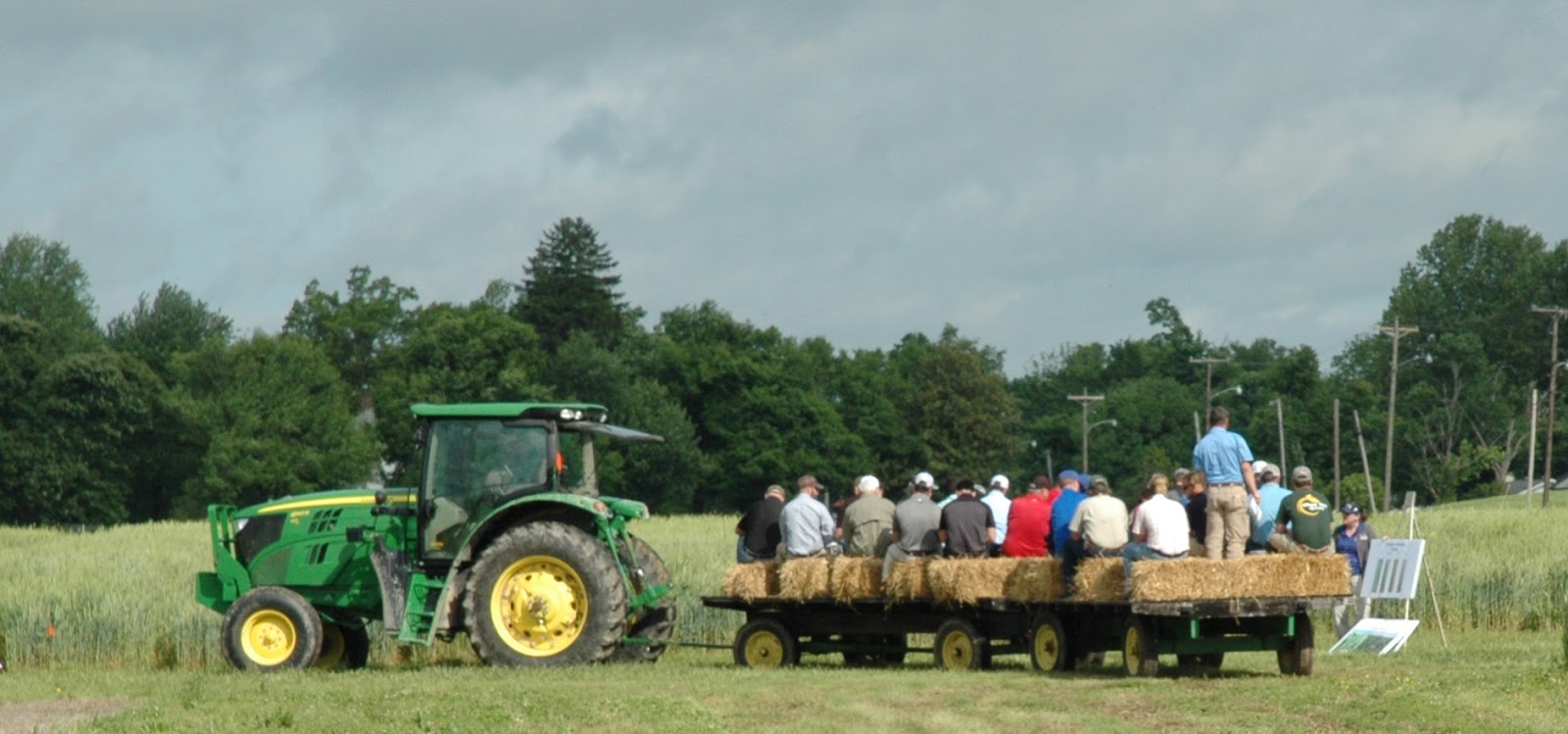 Grain Crops Update: 2017 UNIVERSITY OF KENTUCKY WHEAT FIELD DAY