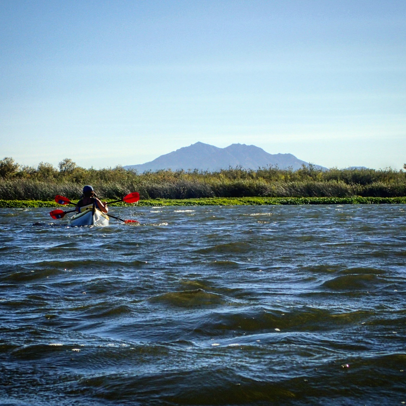 Kayaking the California Delta: Paddling and More Paddling