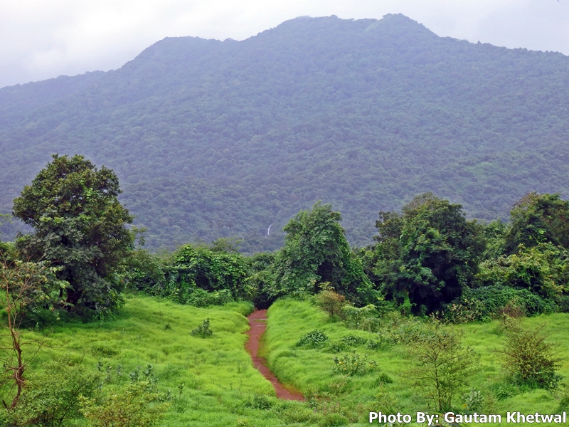 Yeoor Hills, SGNP, Thane