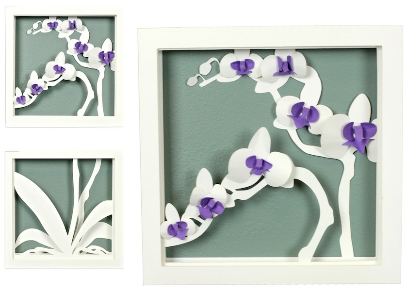 Ashbee Design: Orchid Shadow Box - and a New Lens!