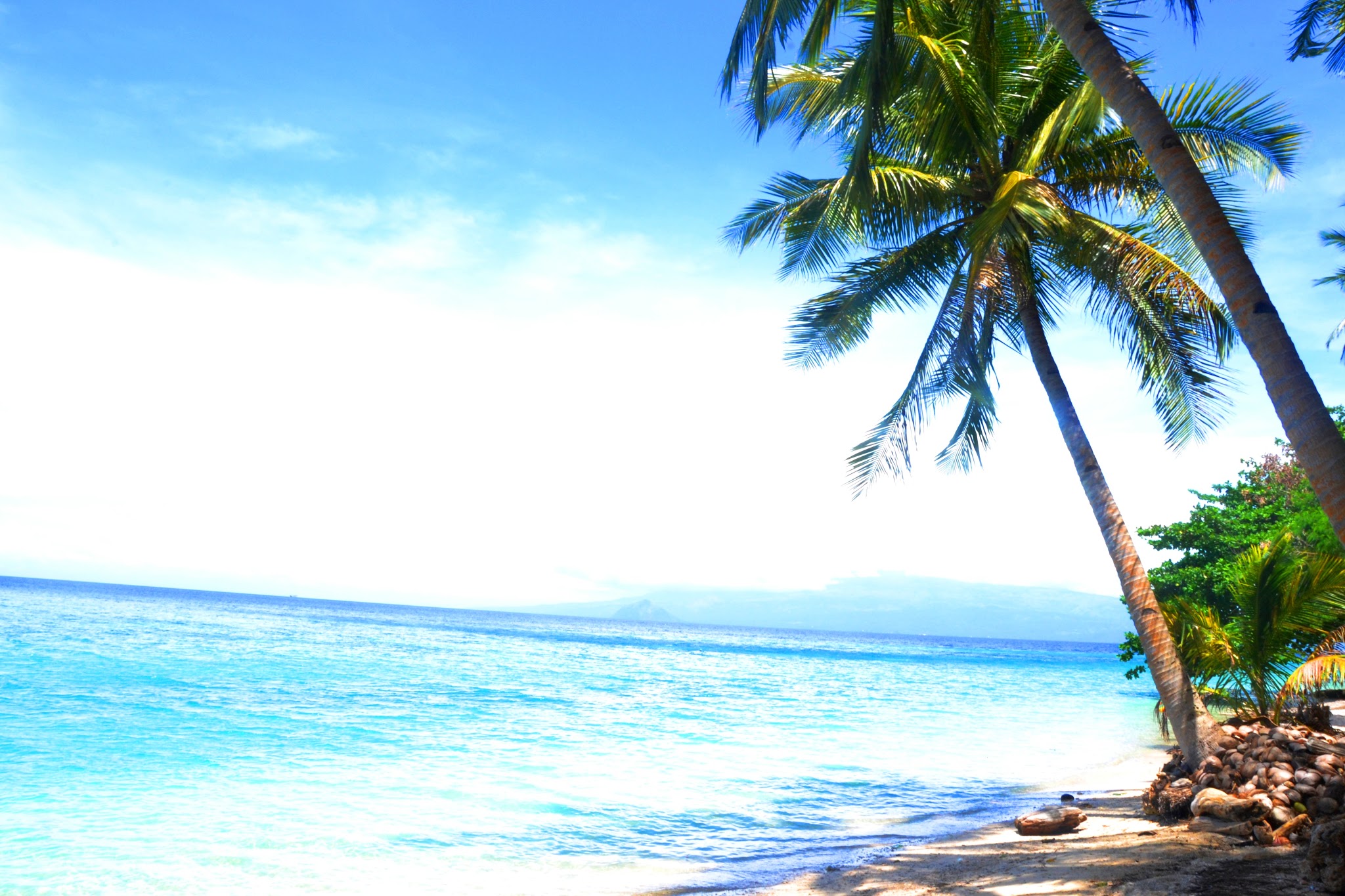 Kabila White Beach and Giant Clam Nursery - Camiguin