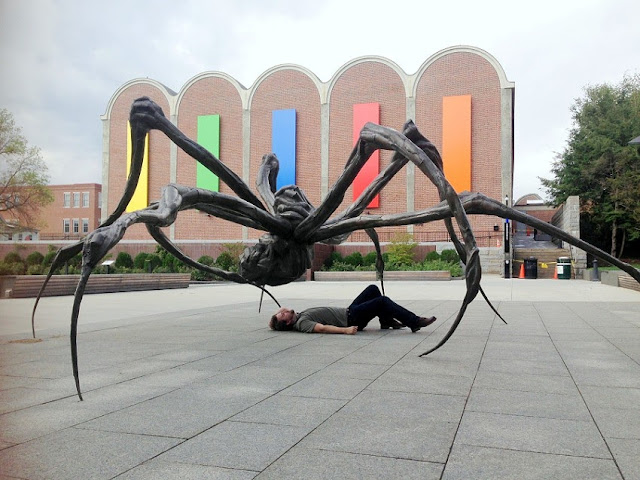 OTIS (Odd Things I've Seen): Spider, Spider Burning Bright: Louise ...