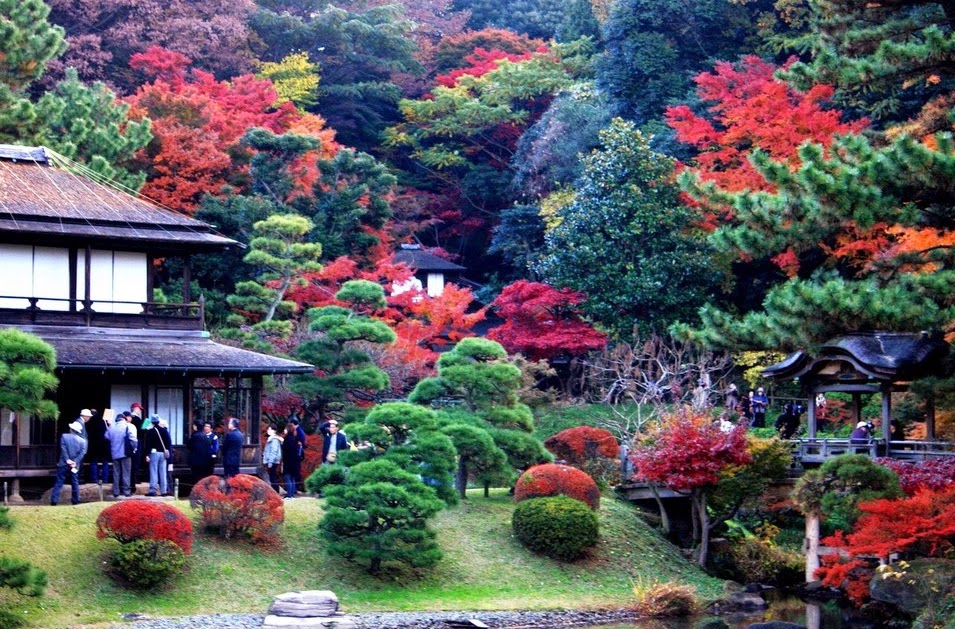 Sankei-en Garden ~ Nature Conservancy