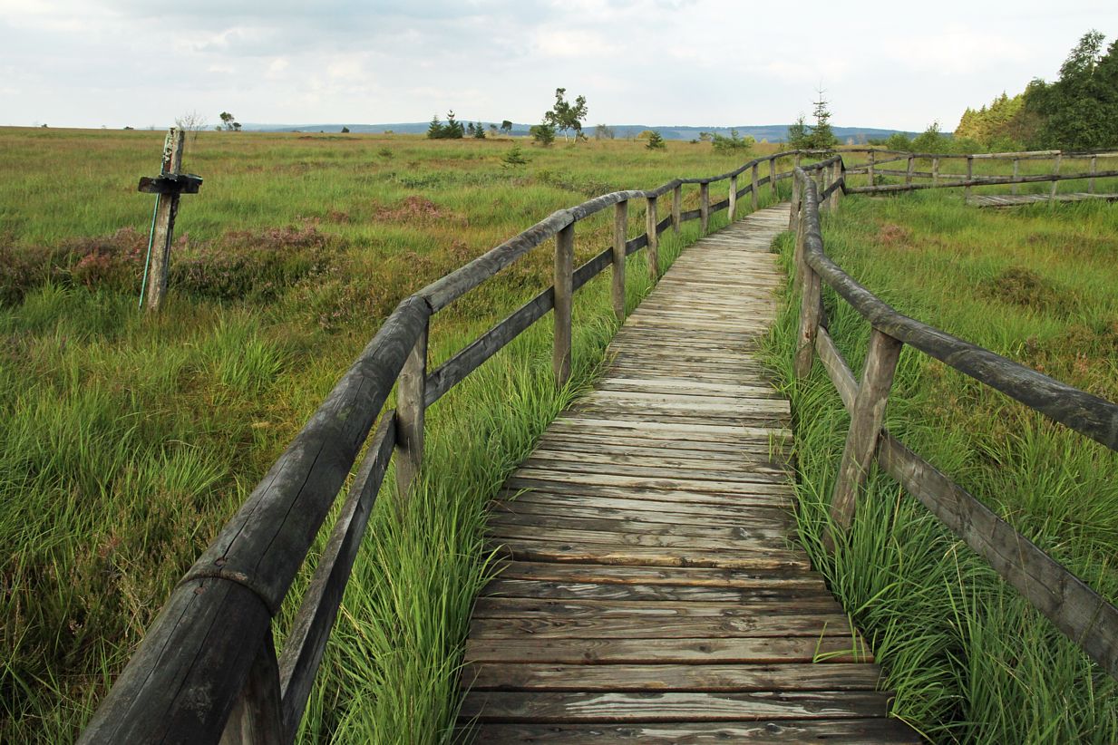 Europe in Pictures: Hautes Fagnes - Belgium