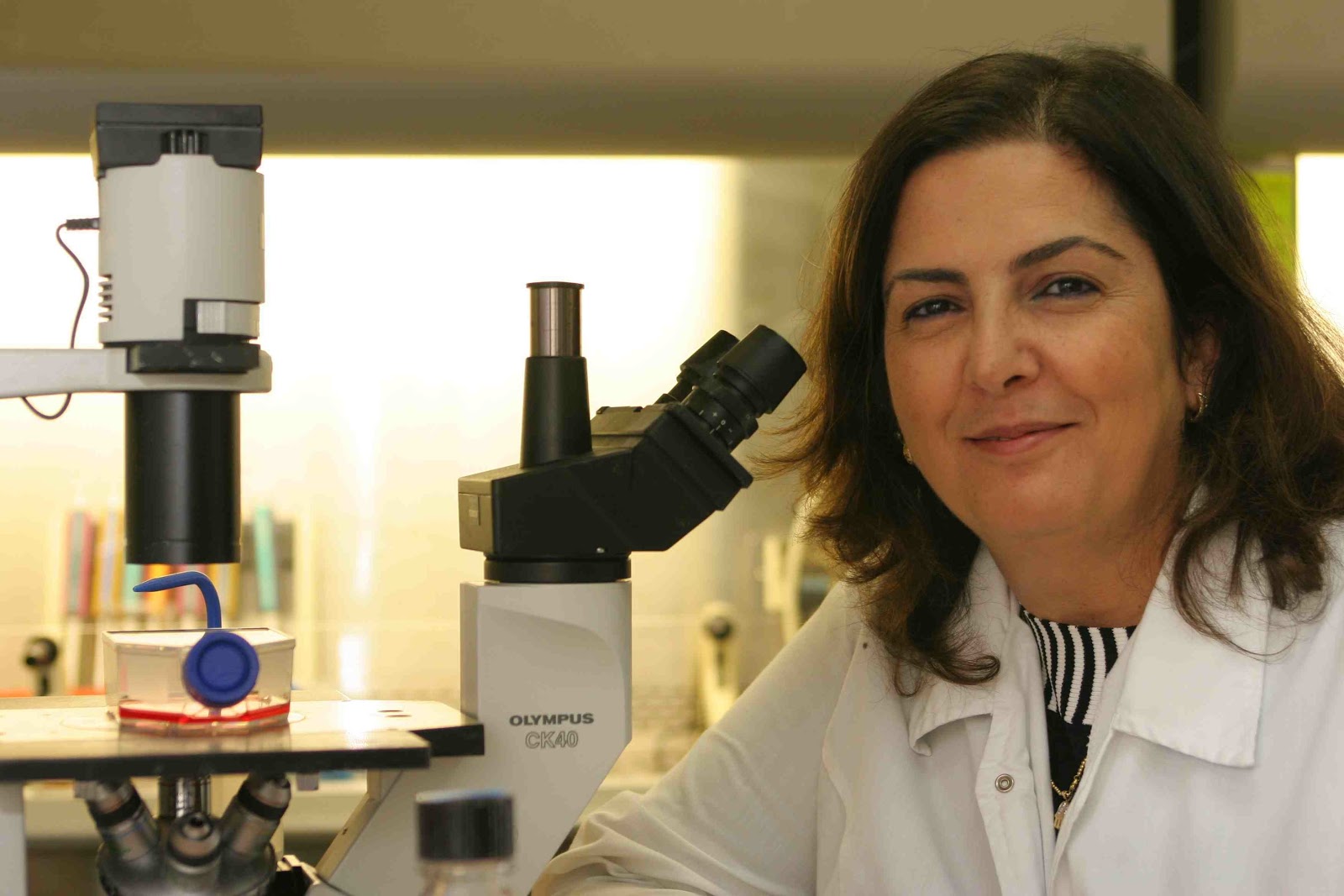 DR. CELL – Nanomedicine | PRESIDENT’S REPORT 2015