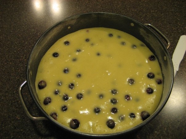 Teacher, Baker, Gourmet Meal Maker: Italian Purple Grape Cake (The 10th ...