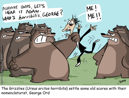 Green Humour: Taxonomy Trouble