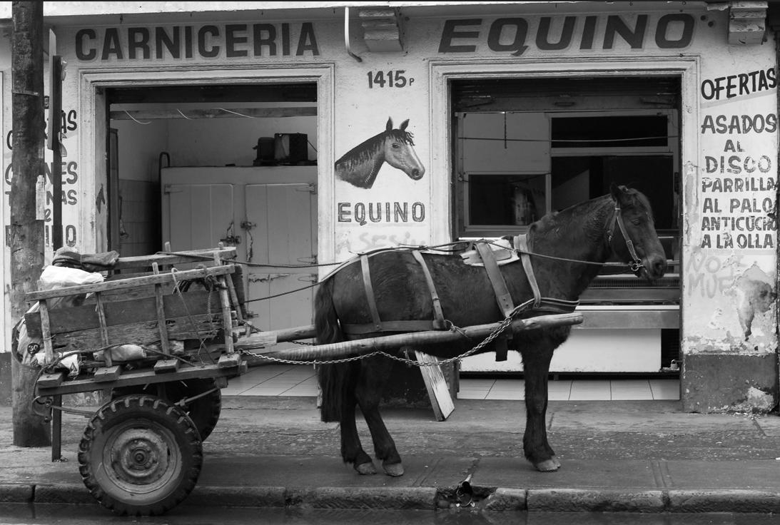 mdolla: Héctor González - Fotografías