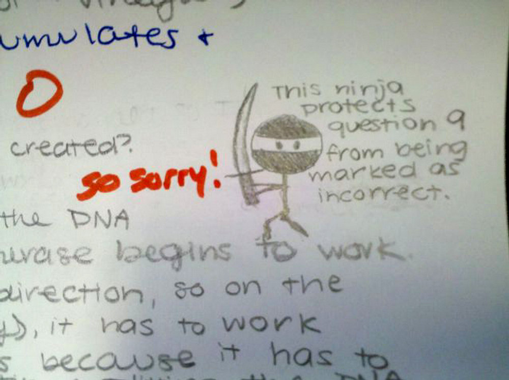 Chuck's Fun Page 2: School work album