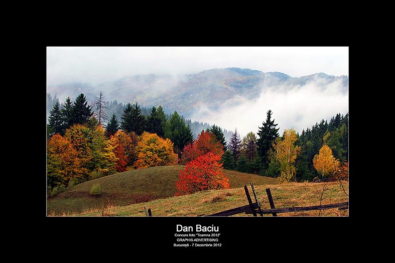 Photographis: CONCURS FOTO ' TOAMNA 2012' - CASTIGATORI