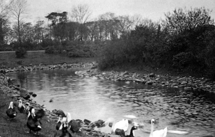 Tour Scotland: Old Photograph Duck Pond Springburn Park Glasgow Scotland