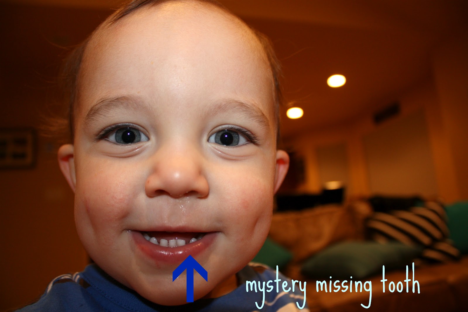 The Hunter Family: Mystery of the missing bottom tooth.