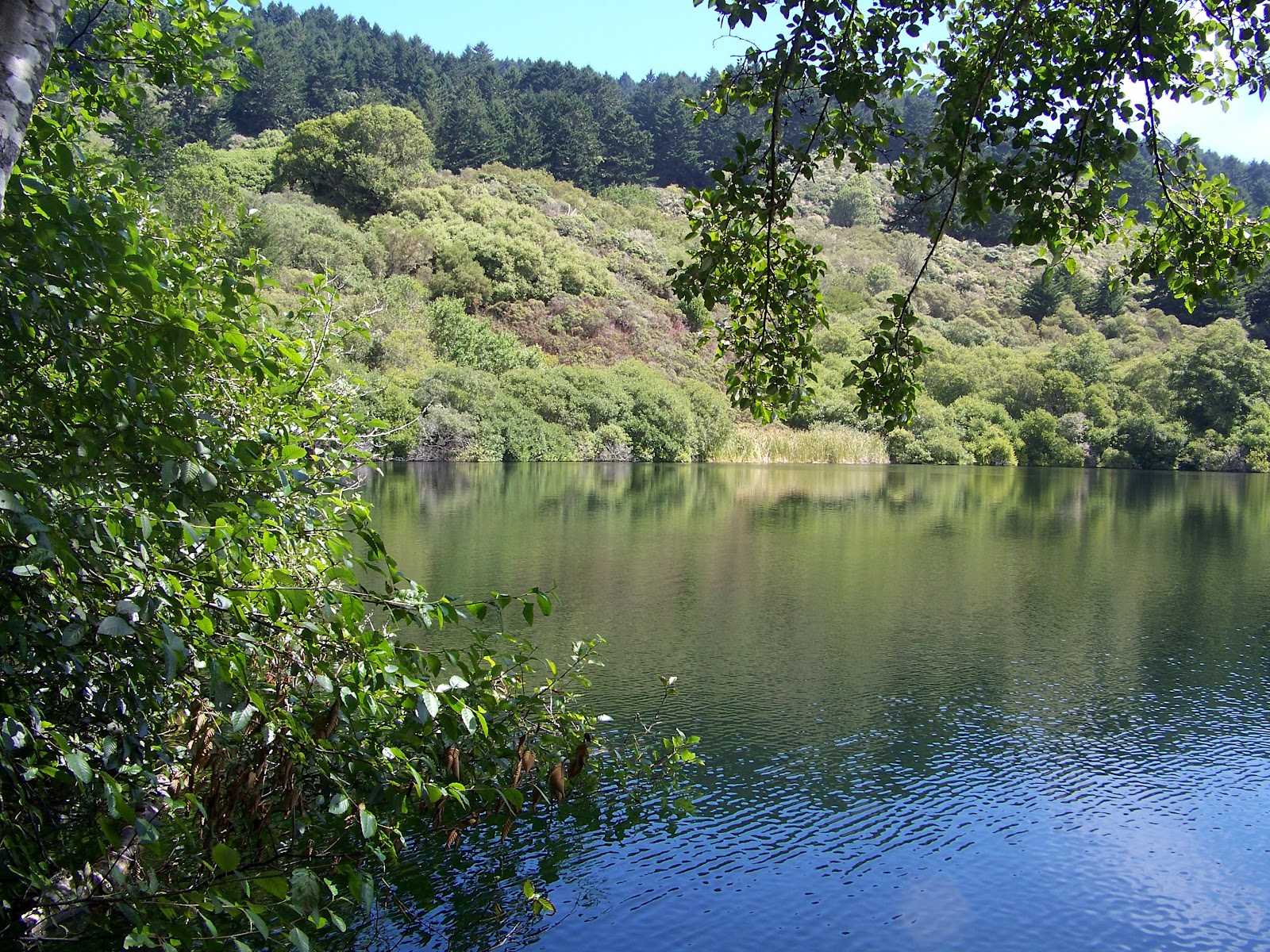 Foothill Marmots at Point Reyes: Palomarin to Bass Lake and Alamere ...