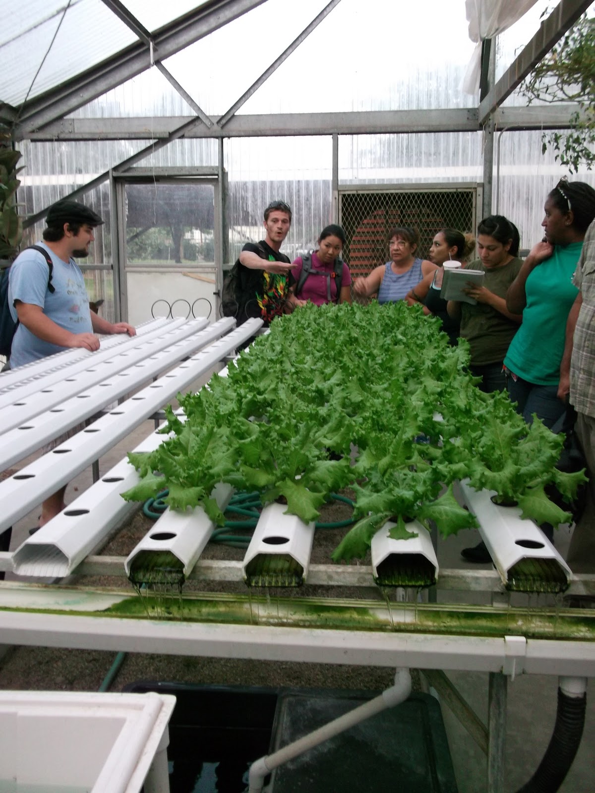 My Simple Country Living: FARM LAB FRIDAY Integrate Pest Management in ...