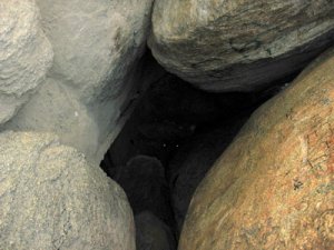 Abu Bakar | Mendampingi Nabi Muhammad Hijrah Ke Madinah dengan Setia ...