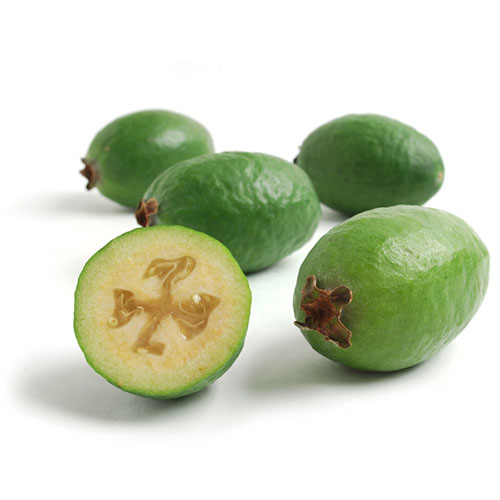 Feijoa (Feijoa selowiana) - Frutas del mundo