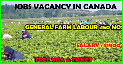 General Farm Vacancy In Canada - APPLY NOW - worldswin - jobs apply and ...
