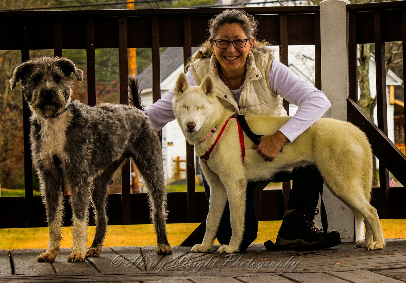 The Adventures of Tala and Henry